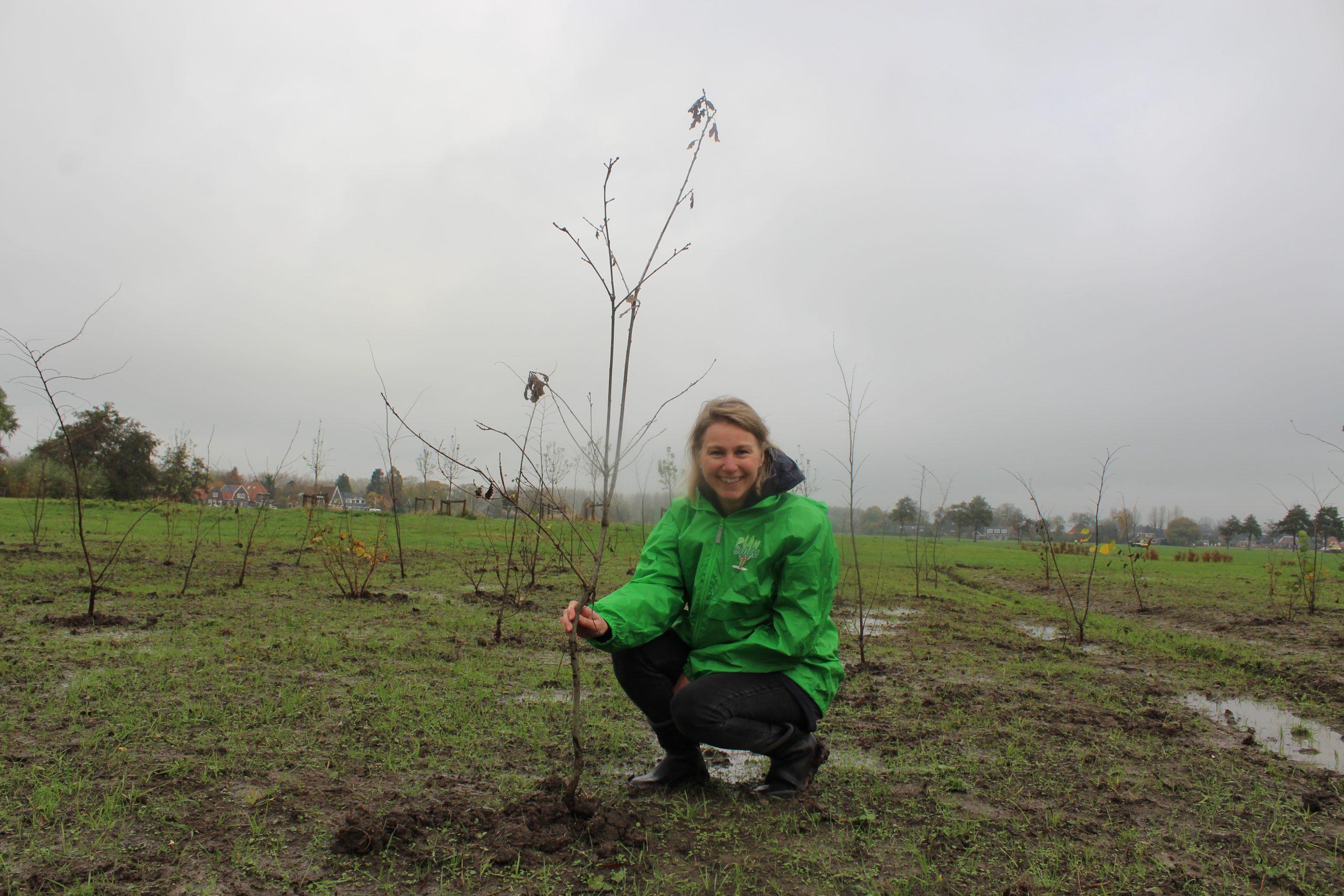 Beammen foar Elkenien - Plan Boom